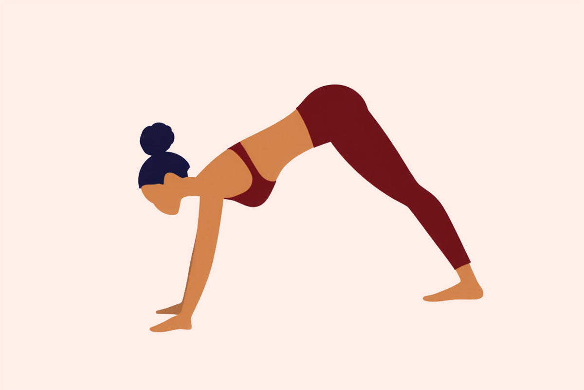 Your Gentle Guide to Anal Play — with Dr. Evan Goldstein – Playground